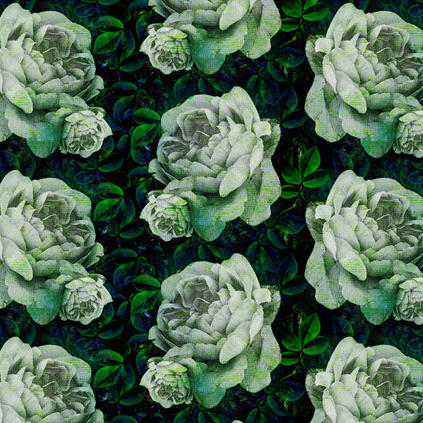 Kews Dramatic Roses Wallpaper | Floral Wallpaper | Nature | ATADesigns